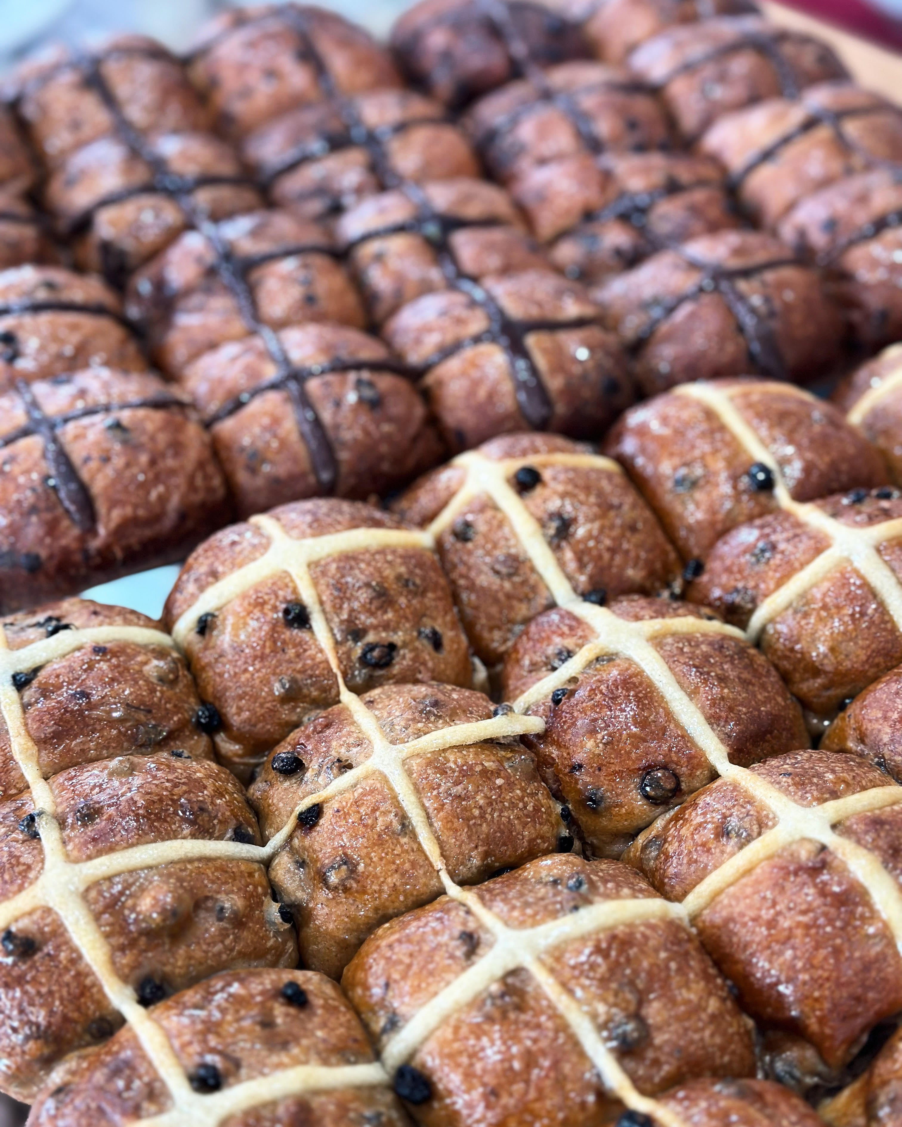 Hot Cross Buns 6 Pack | Cakeboi