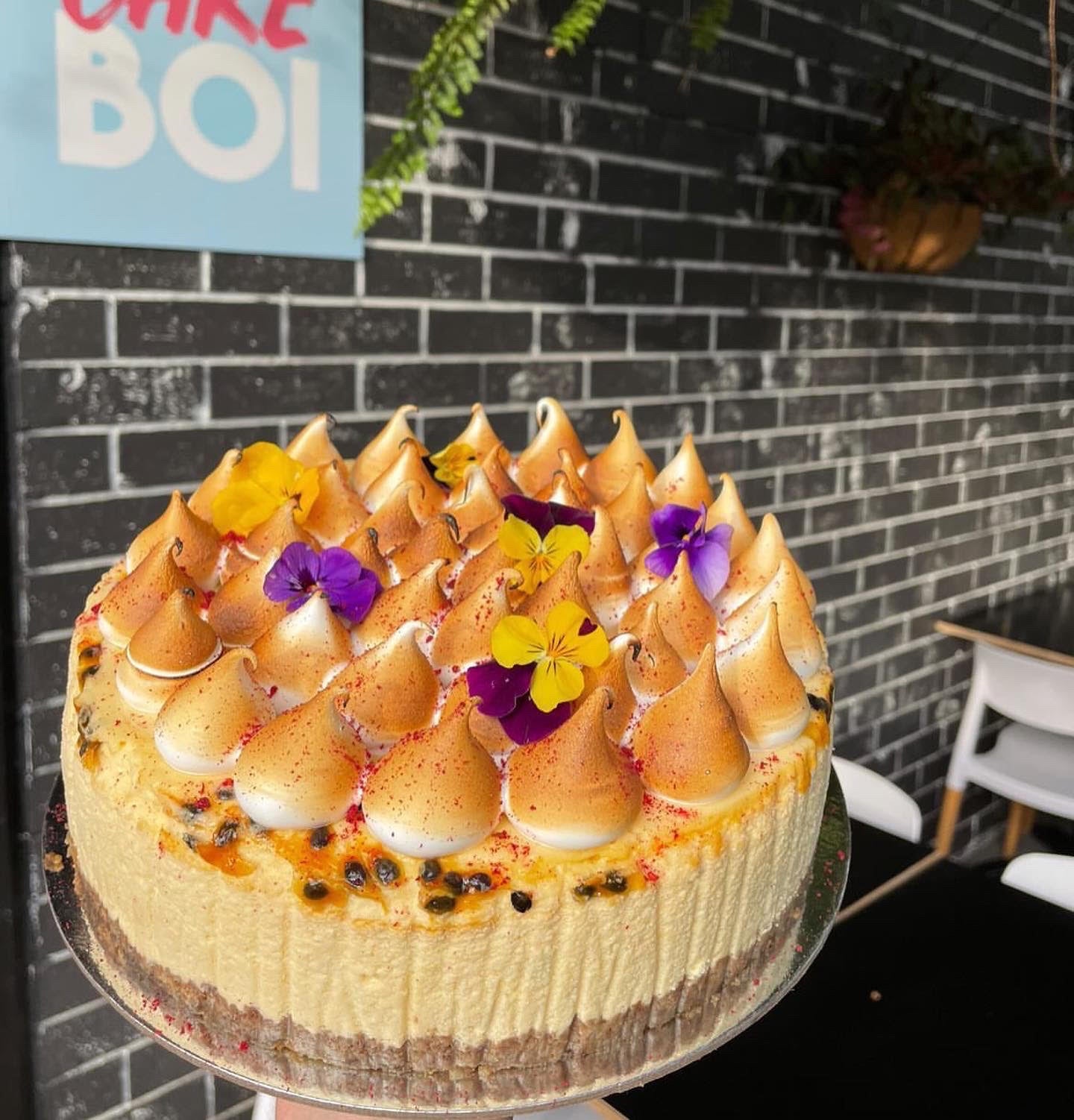 Tropical Fruit Pavlova Cheesecake | Cakeboi